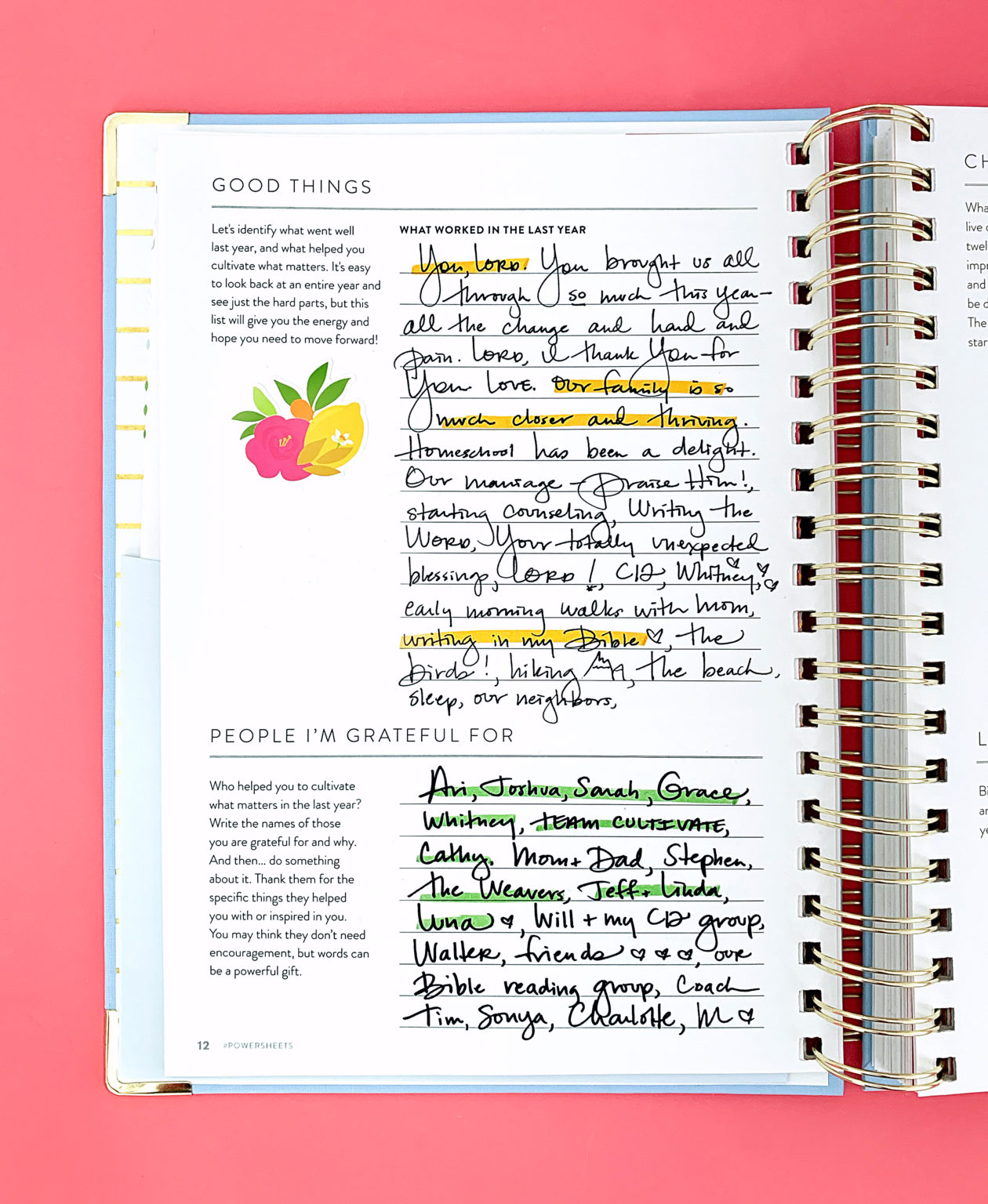 Goal Setting Series: 2020 Year in Review - Lara Casey
